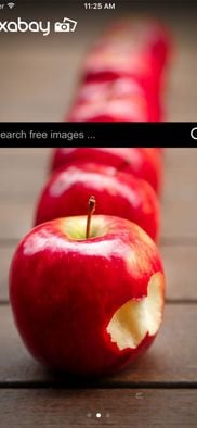 Unsplash Alternatives: Similar Stock Photo Services 2025 | AlternativeTo