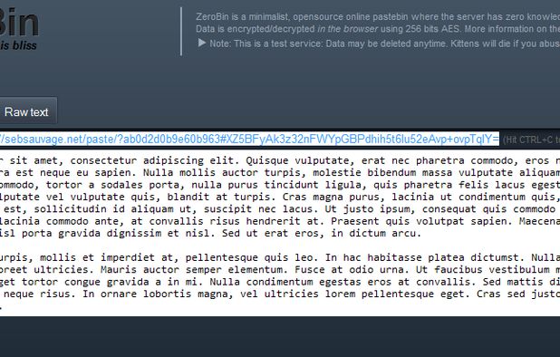 Open Source Pastebin.com Alternatives: 25+ Pastebin Services | AlternativeTo