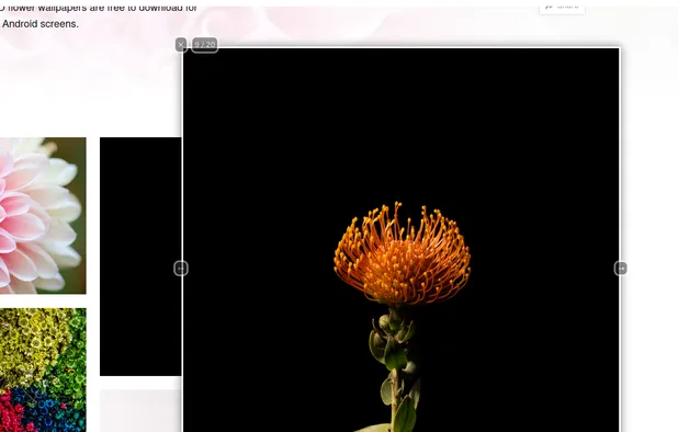 Imagus Alternatives: Top 9 Image Viewers & Similar Apps | AlternativeTo