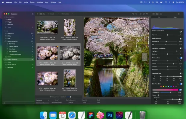 10 Great Adobe Bridge Alternatives: Top Photo Managers in 2025 ...