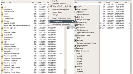 Altap Salamander: A small and two-pane file manager with open ...