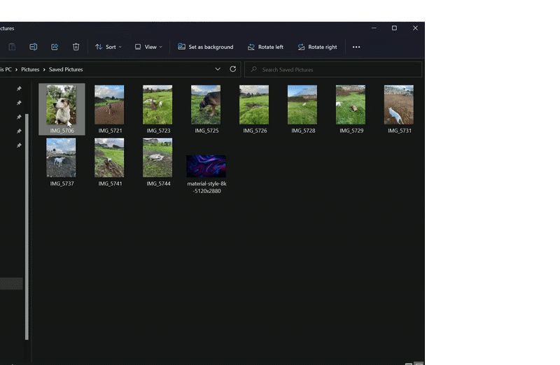 Shelfit Alternatives and Similar Software | AlternativeTo