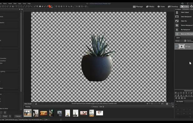 Great Adobe Bridge Alternatives: Top Media & Photo Managers in 2025 ...