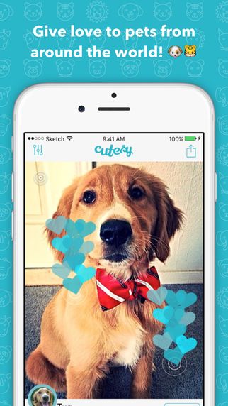 Cutesy - The cutest pets! Alternatives: Top 5 Social Networks & Similar ...