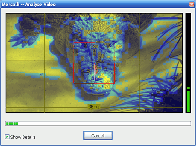 Mercalli ProDAD Alternatives: Top 10 Video Editors & Similar Apps ...