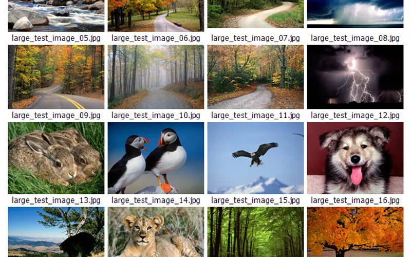 Shape Collage Alternatives and Similar Software | AlternativeTo