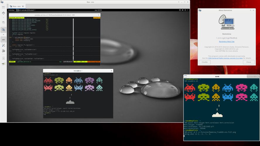 Remmina: Open source and copyleft remote desktop client for Linux and ...