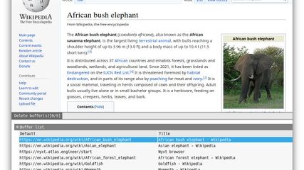Nyxt browser: Extensible, keyboard-oriented web-browser for power users | AlternativeTo