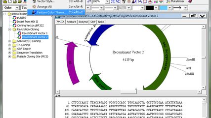 SimVector: Use SimVector to draw plasmid maps, perform | AlternativeTo