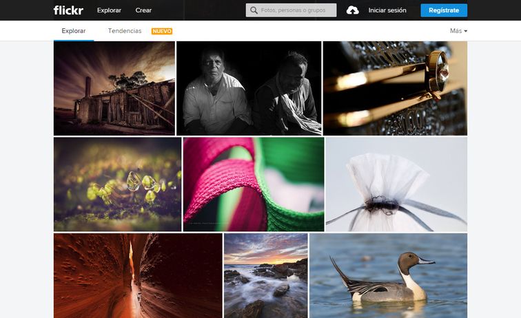 12 Great Imgur Alternatives: Top Image Hosting Services in 2024 ...