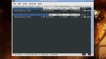 Transmission: Fast, easy, and free BitTorrent client | AlternativeTo