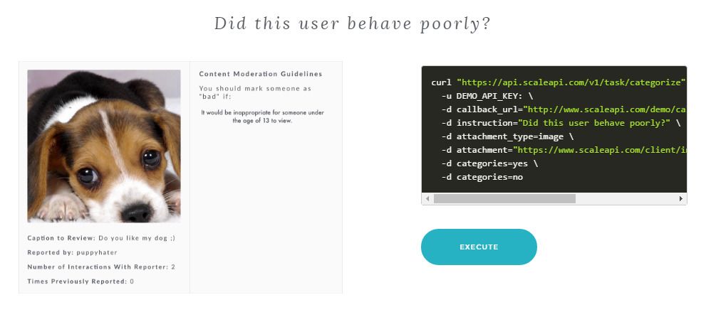 Scale Alternatives and Similar Sites & Apps | AlternativeTo