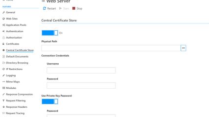 Microsoft IIS: Internet Information Services (IIS) for | AlternativeTo