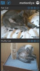 MotionEye: MotionEye is a web frontend for the motion daemon, written ...