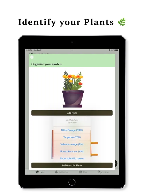 Florra - Plant Care Diary Alternatives: Top 10 Plant Identification ...