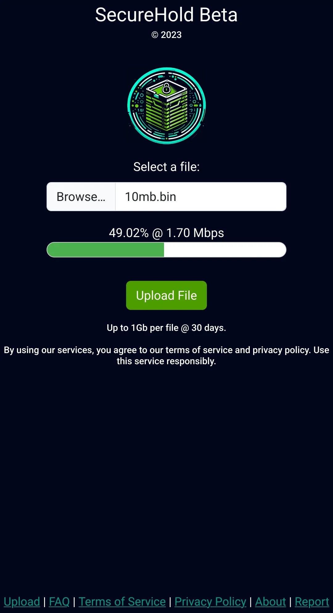 SecureHold: Project that aims to provide temporary file hosting with ...