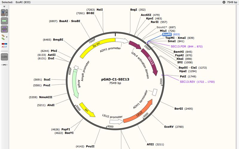ApE - A plasmid Editor Alternatives and Similar Software | AlternativeTo