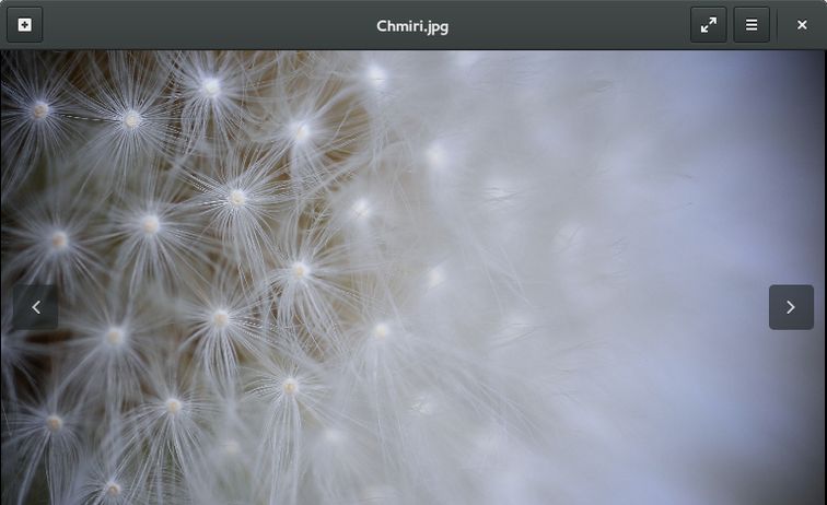 QuickLook Alternatives: Top 10 Image Viewers & Similar Apps | AlternativeTo