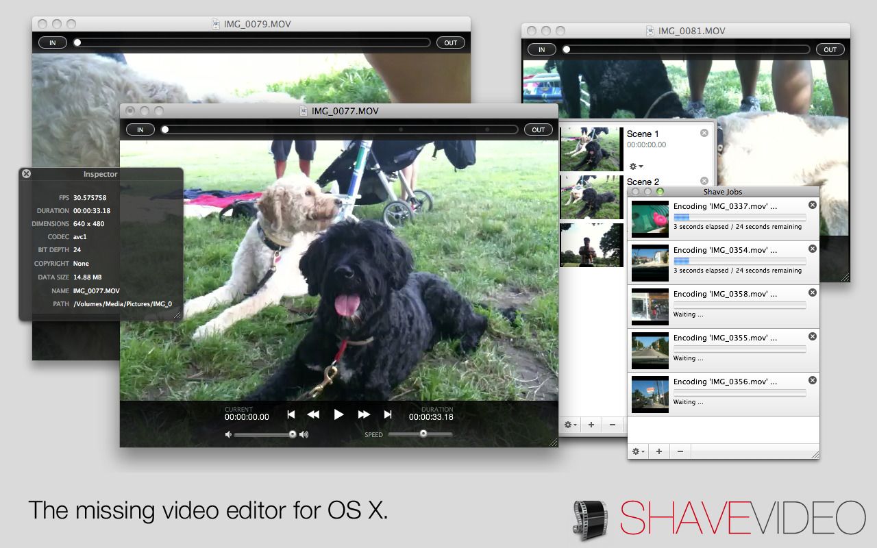 Shave Video Alternatives: Top 12 Video Editors & Similar Apps ...