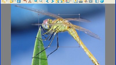 ImageGlass Alternatives: 25+ Image Viewers and similar apps | AlternativeTo