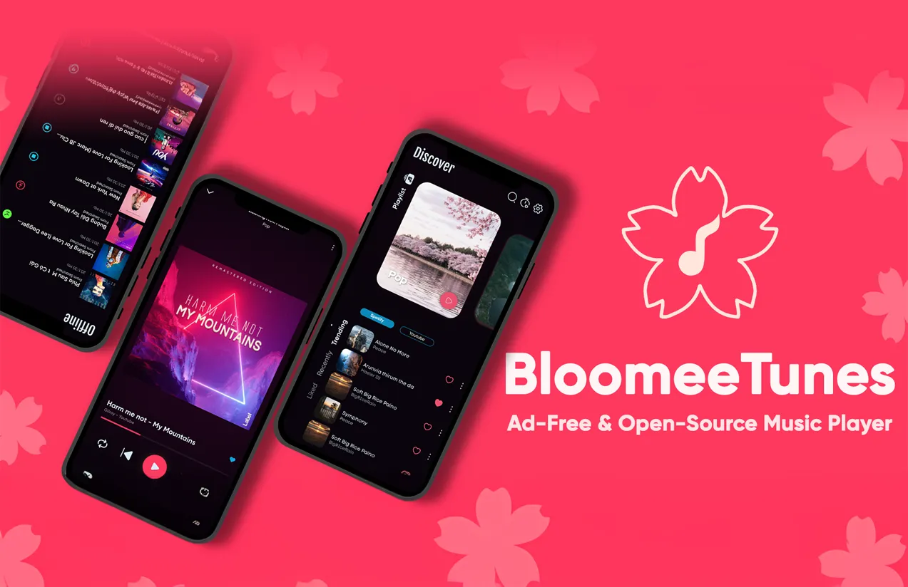 Bloomee Tunes Alternatives: Top 19 Audio Players | AlternativeTo