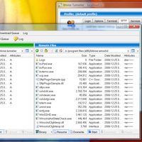 Bitvise SSH Client: App Reviews, Features, Pricing & Download ...