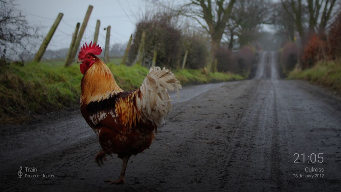 Photo Gallery and Screensaver Alternatives - Explore Similar Apps ...