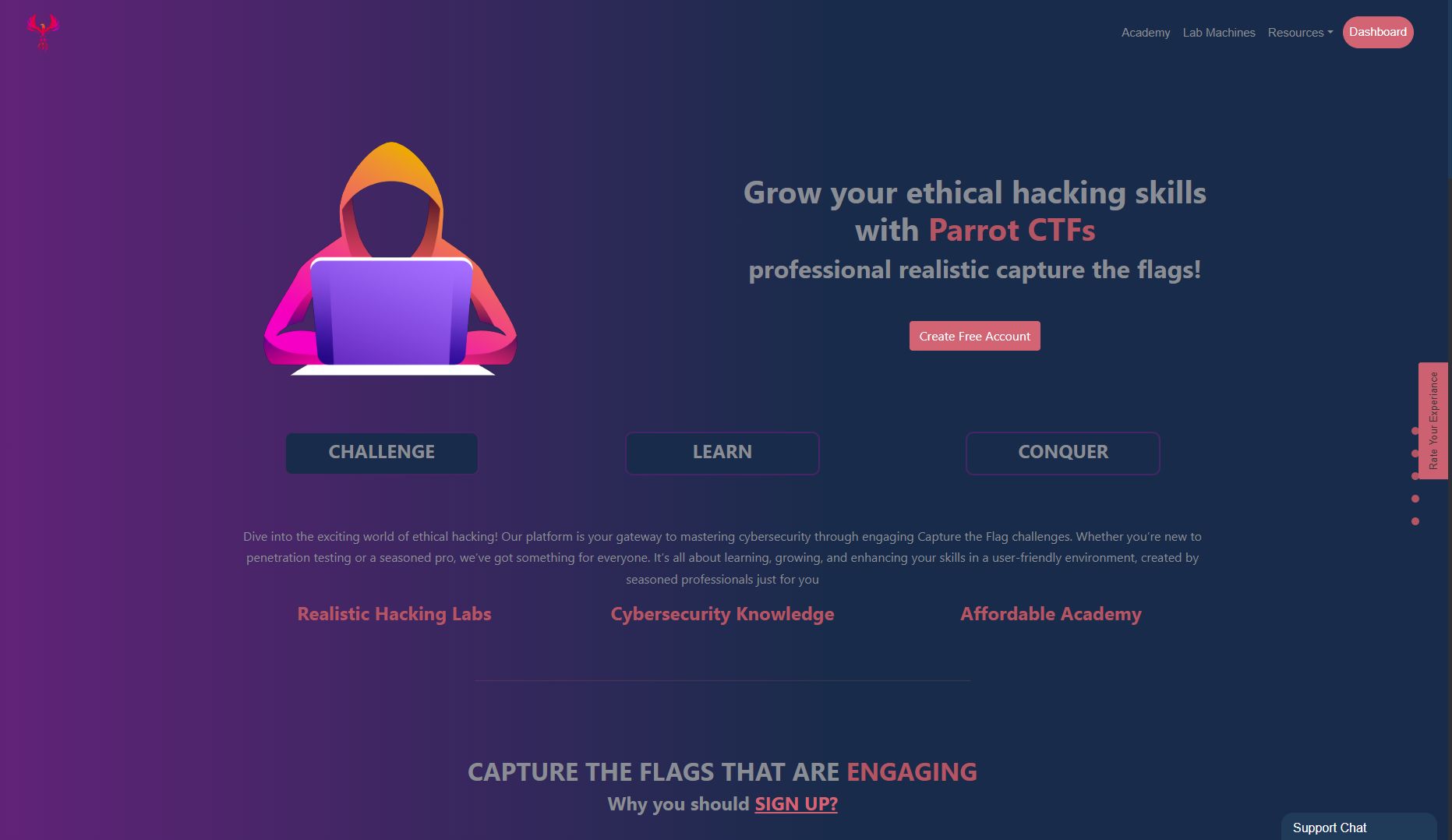 Parrot Ctfs Realistic Online Capture The Flag Platform Allowing The Ability To Practice