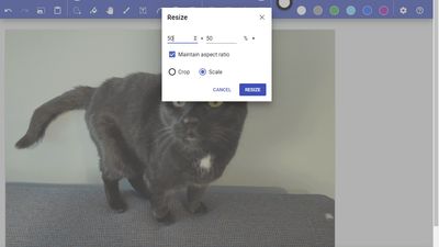 PaintZ: App Reviews, Features, Pricing & Download | AlternativeTo