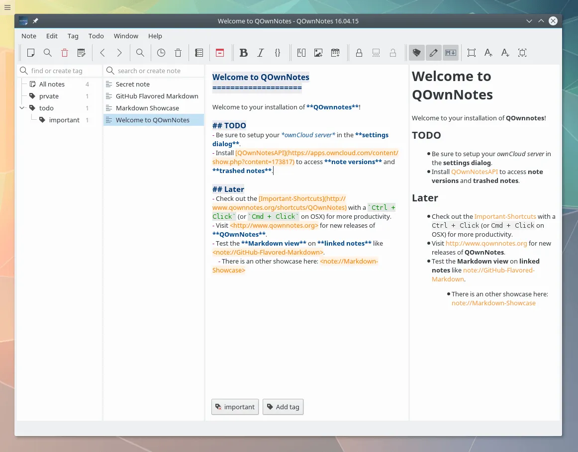 QOwnNotes: Plain text notepad with markdown support and todo list ...