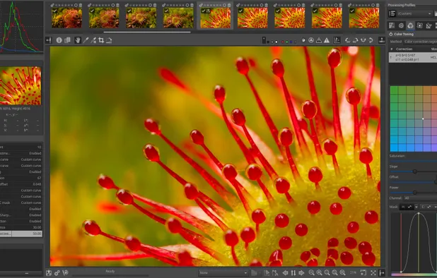 Great darktable Alternatives: Top Raw Photo Editors in 2025 | AlternativeTo