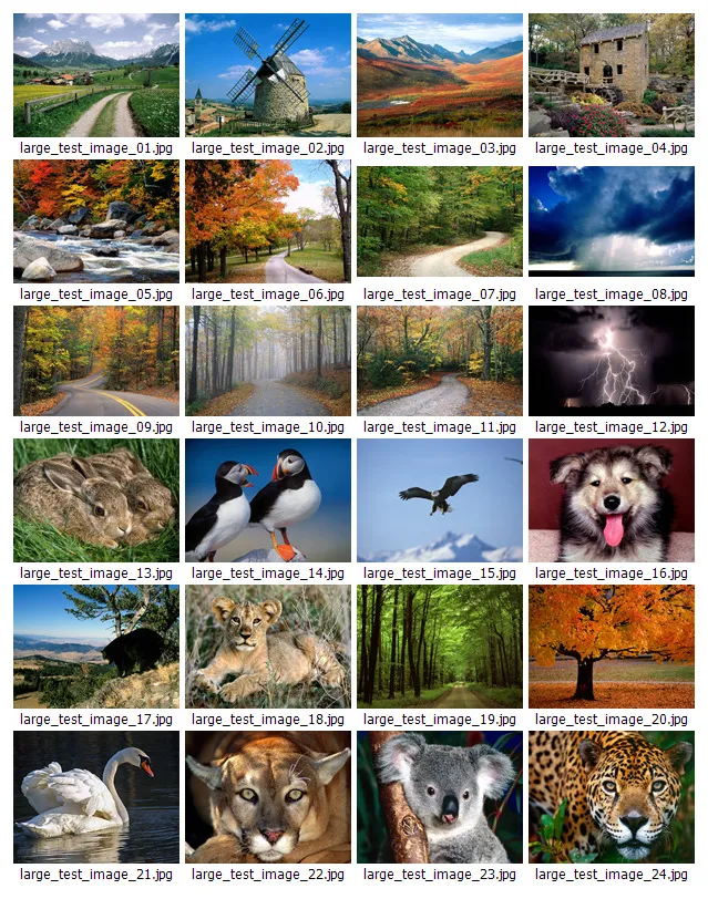 Snap2IMG Alternatives - Explore Similar Software | AlternativeTo