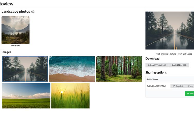PhotoPrism Alternatives: 25+ Self-Hosted Photo Managers | AlternativeTo