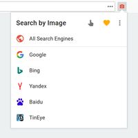 Search by Image: App Reviews, Features, Pricing & Download | AlternativeTo