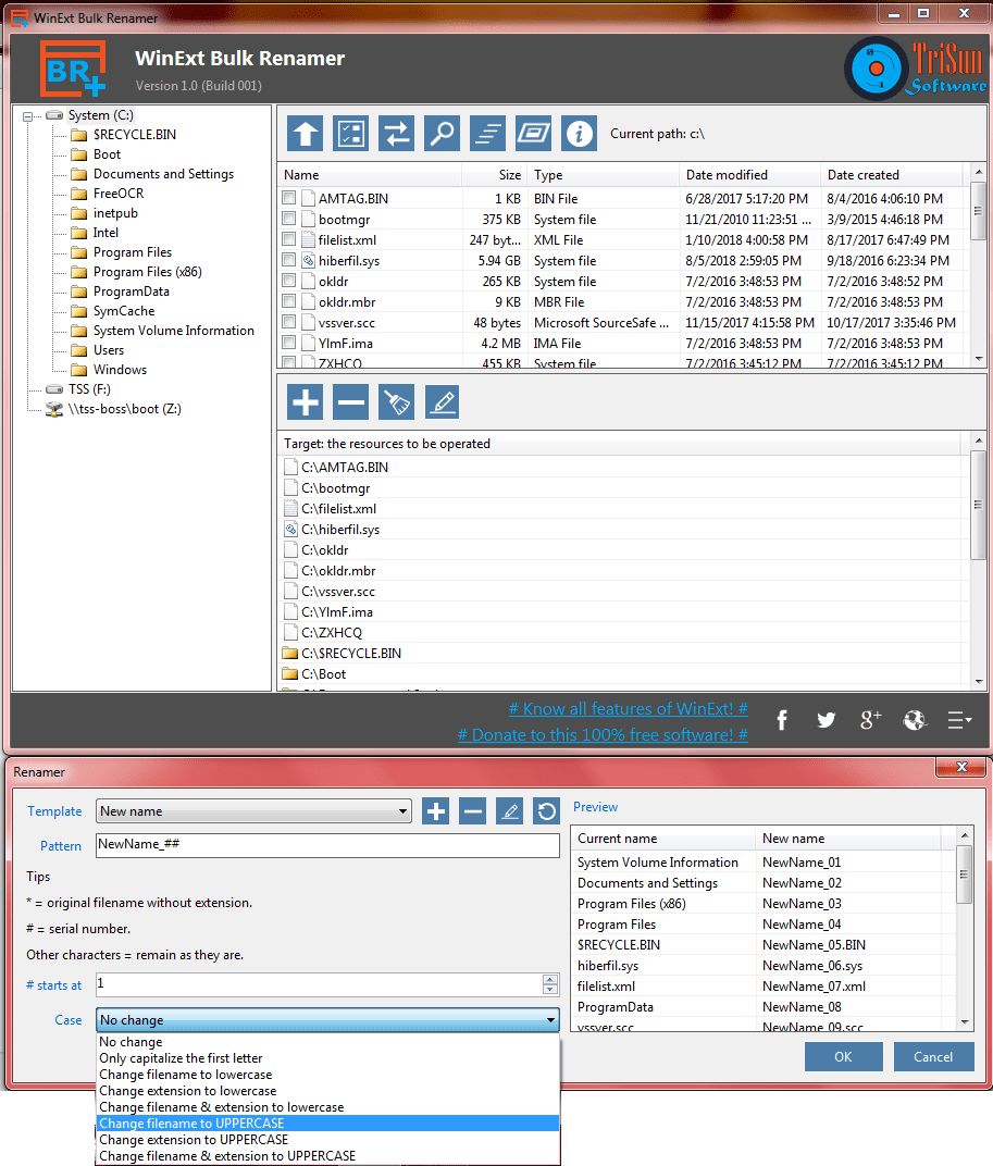 WinExt Bulk Renamer Alternatives and Similar Software | AlternativeTo