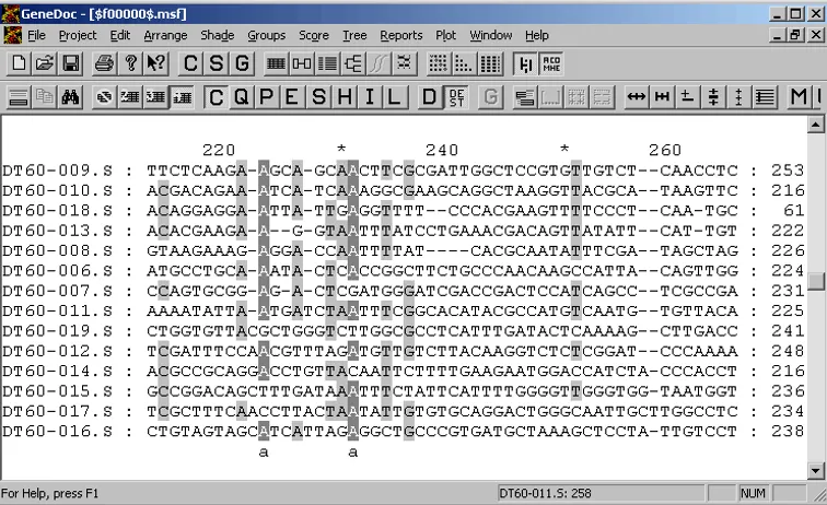 AliView Alternatives and Similar Software | AlternativeTo