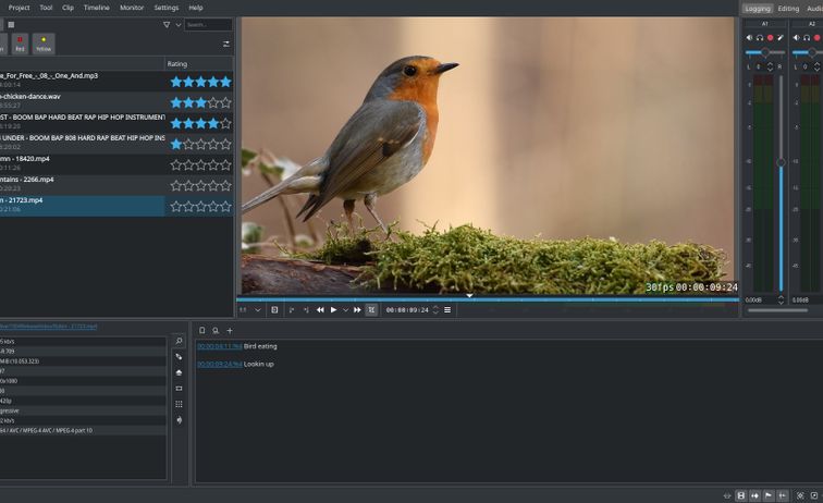 Open Source Premiere Pro Alternatives: Top 10 Video Editors | AlternativeTo