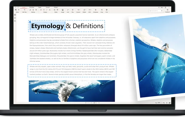 Best Adobe Acrobat Reader Alternatives: Top PDF Readers in 2025 ...