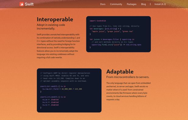 Great JavaScript Alternatives: Top Programming Languages in 2025 ...