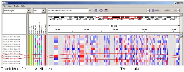 Integrative Genomics Viewer Igv App Reviews Features Pricing