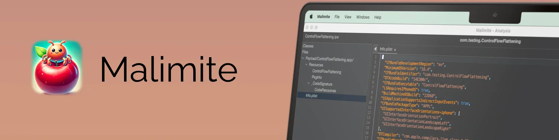 Malimite Alternatives: Top 10 Decompilers & Similar Apps | AlternativeTo