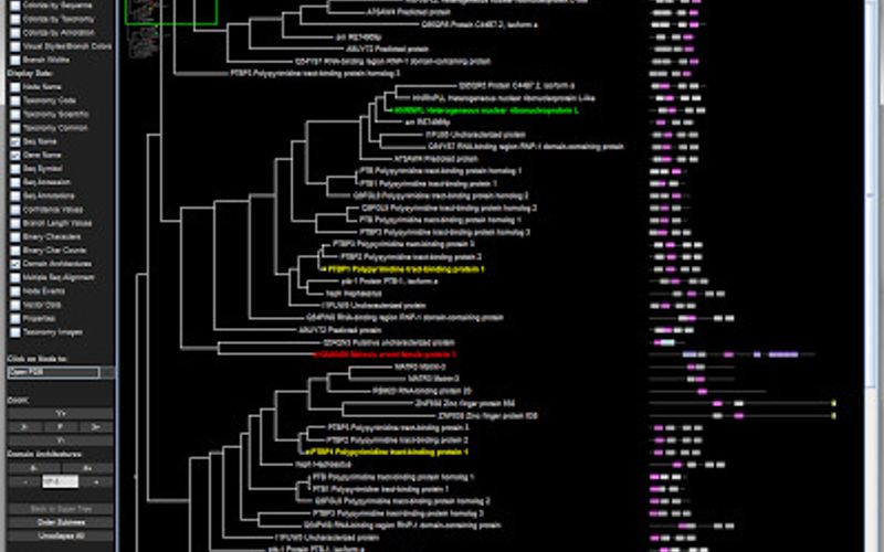 TreeView X Alternatives and Similar Software | AlternativeTo