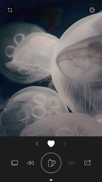 RNI Colibri Alternatives - Explore Similar Apps | AlternativeTo