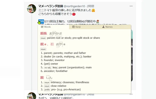 Yomichan Alternatives: Top 9 Dictionaries & Similar Apps | AlternativeTo
