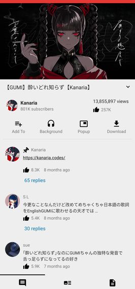 PipePipe: An alternative Android streaming front-end of BiliBili, NicoNico, Youtube and ...