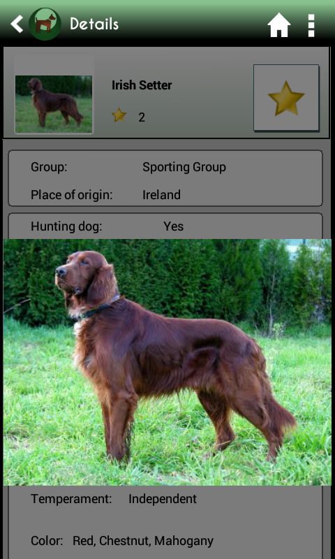 Top dogs Alternatives and Similar Apps | AlternativeTo