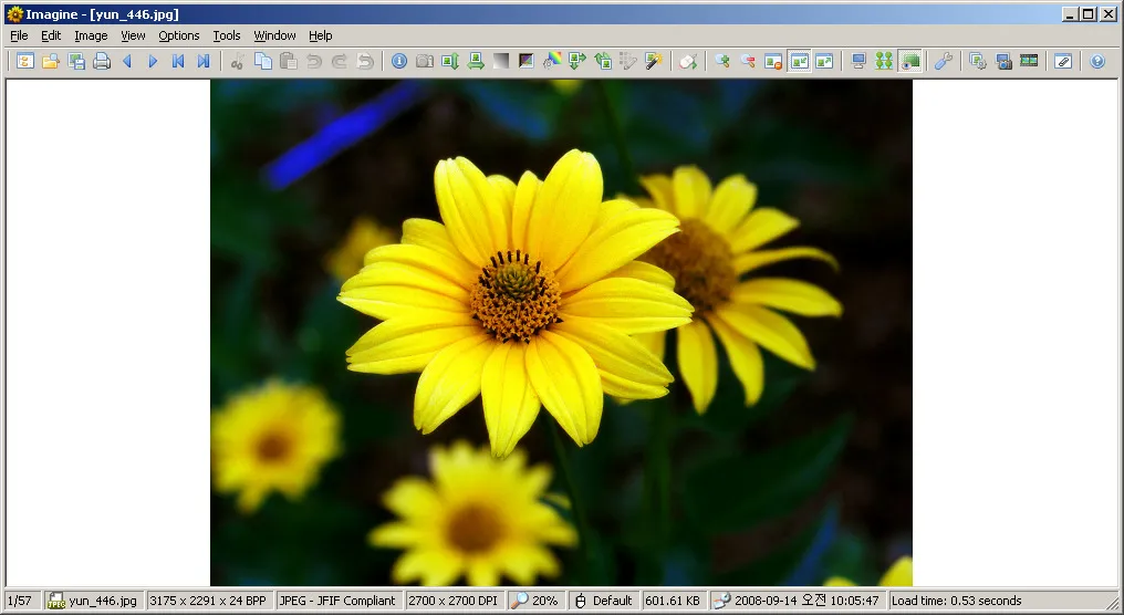 Imagine: Image & Animation Viewer for Windows with screen capture ...