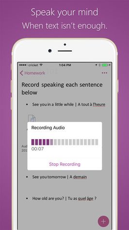 Microsoft OneNote: A digital notebook application that gives people one ...