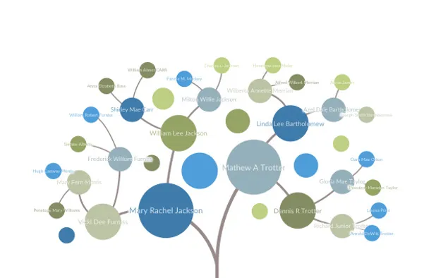 Visual Family Tree Maker Alternatives: Top 4 Genealogy Tools & Similar ...