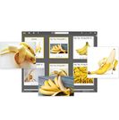 PureRef Alternatives: Top 10 Image Viewers & Similar Apps | AlternativeTo